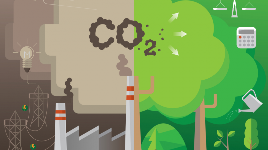 Understanding Biomass Energy: The Major Pros and Cons - Akt in Motion