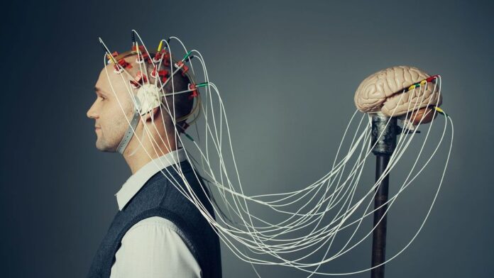 5 Interesting Facts About Human Intelligence - Akt in Motion